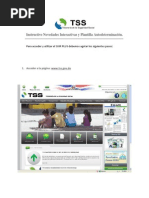 Instrutivo para Manejo de La Suirplus | PDF | Salario | Autenticación