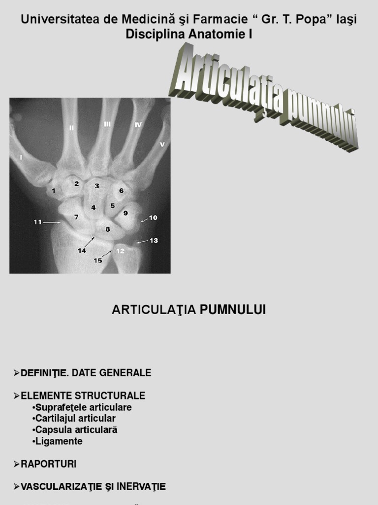 Articulatia Pumnului | PDF