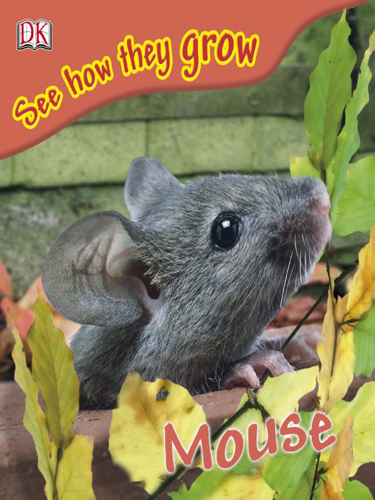 DK See How They Grow - Mouse | PDF