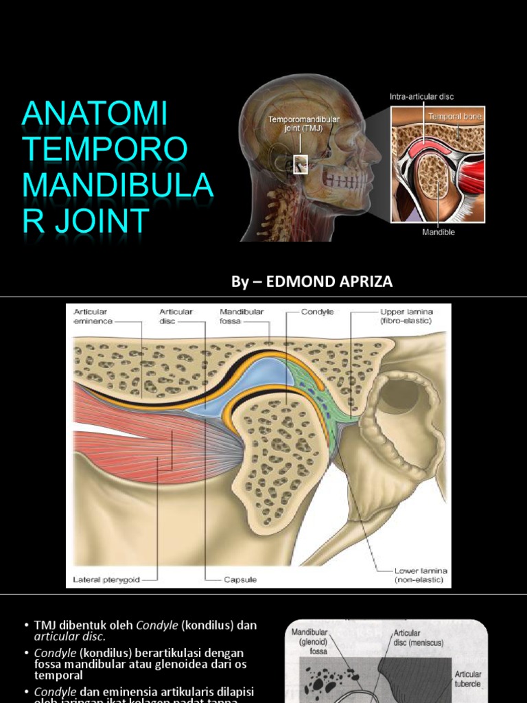 Anatomi dan Fungsi TMJ Mandibula | PDF