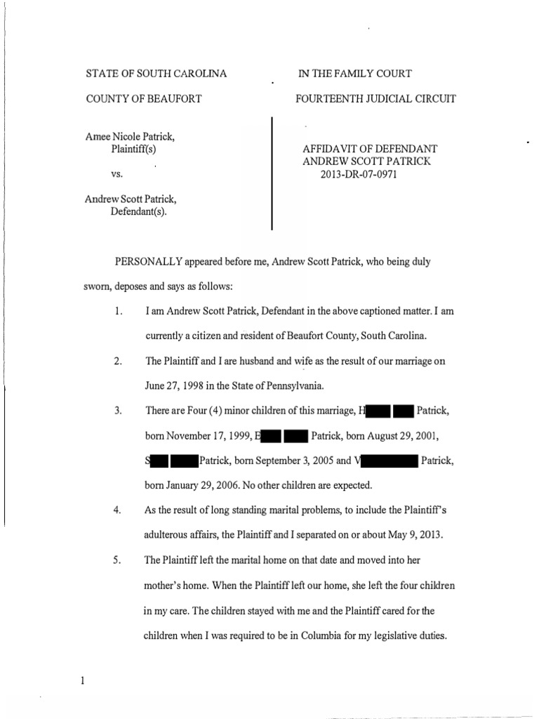 Affidavit of Andrew Scott Patrick | PDF | Overdraft | Business