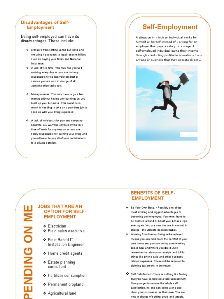 Disadvantages of Self-Employment | PDF | Career & Growth | Business