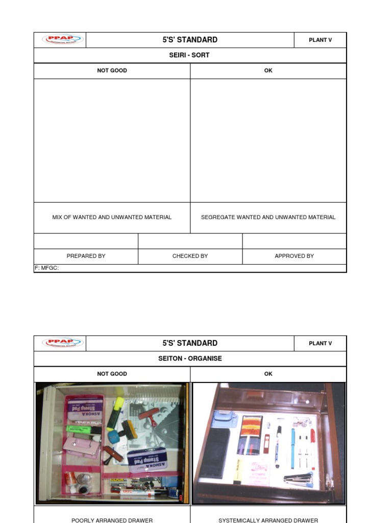 5's' Visual STD | PDF | History