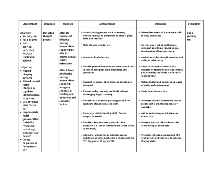 Managing Disturbed Thought Process | PDF