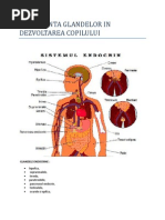 Nanism Hipofizar Si Tiroidian | PDF