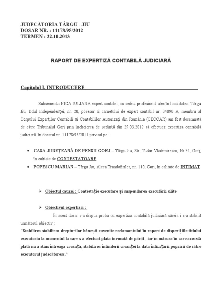 Raport de Expertiza Contabila | PDF