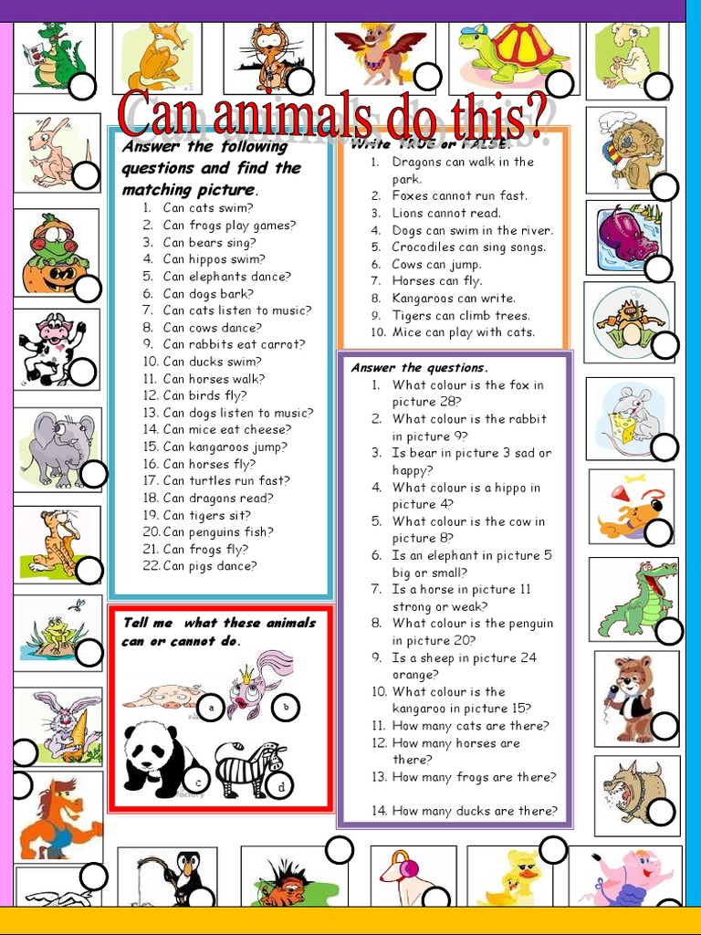 Animal 28 Movements - What Can They Do | PDF