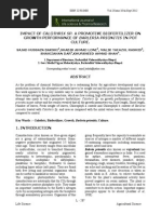 Hay Infusion | PDF | Microorganism | Water