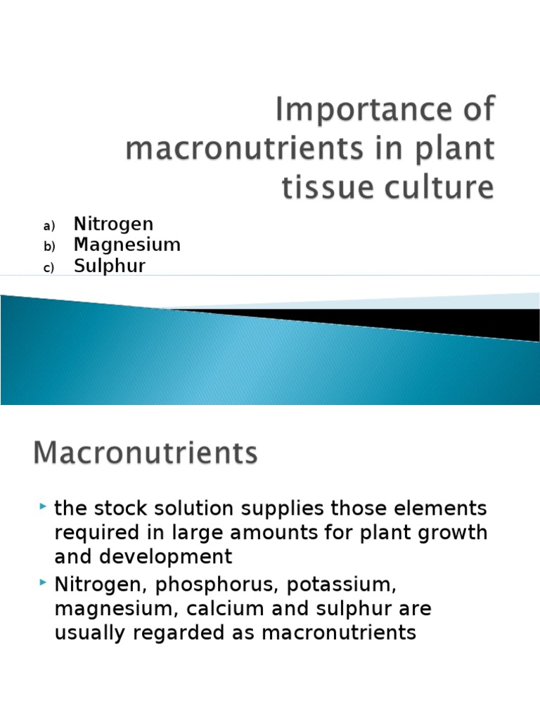 Macronutrients in Plant Tissue Culture (N, MG, S) | PDF | Sulfur ...