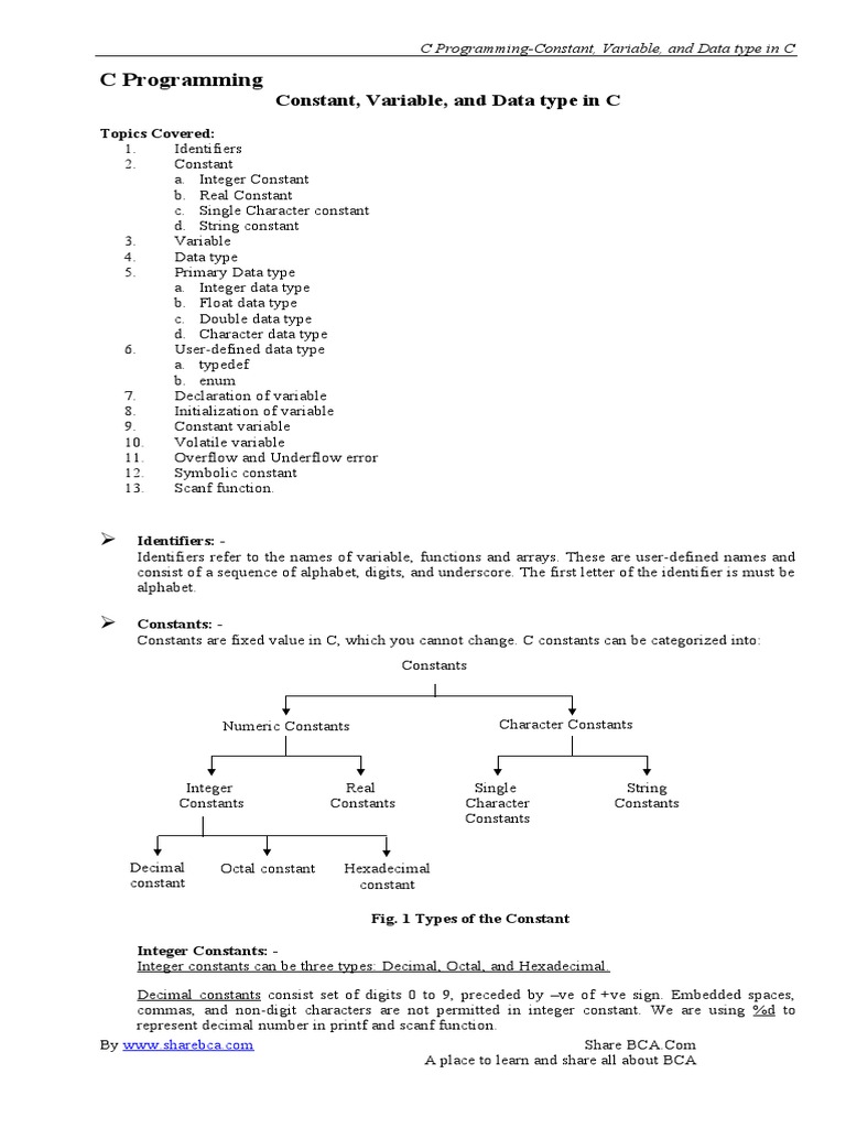 03 Constant Variable Datatype In C Pdf Integer Computer Science Variable Computer Science 6917
