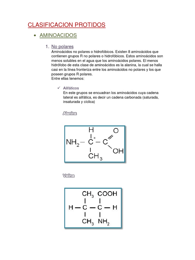 Clasificacion Protidos | PDF | Péptido | Ácido glutamico