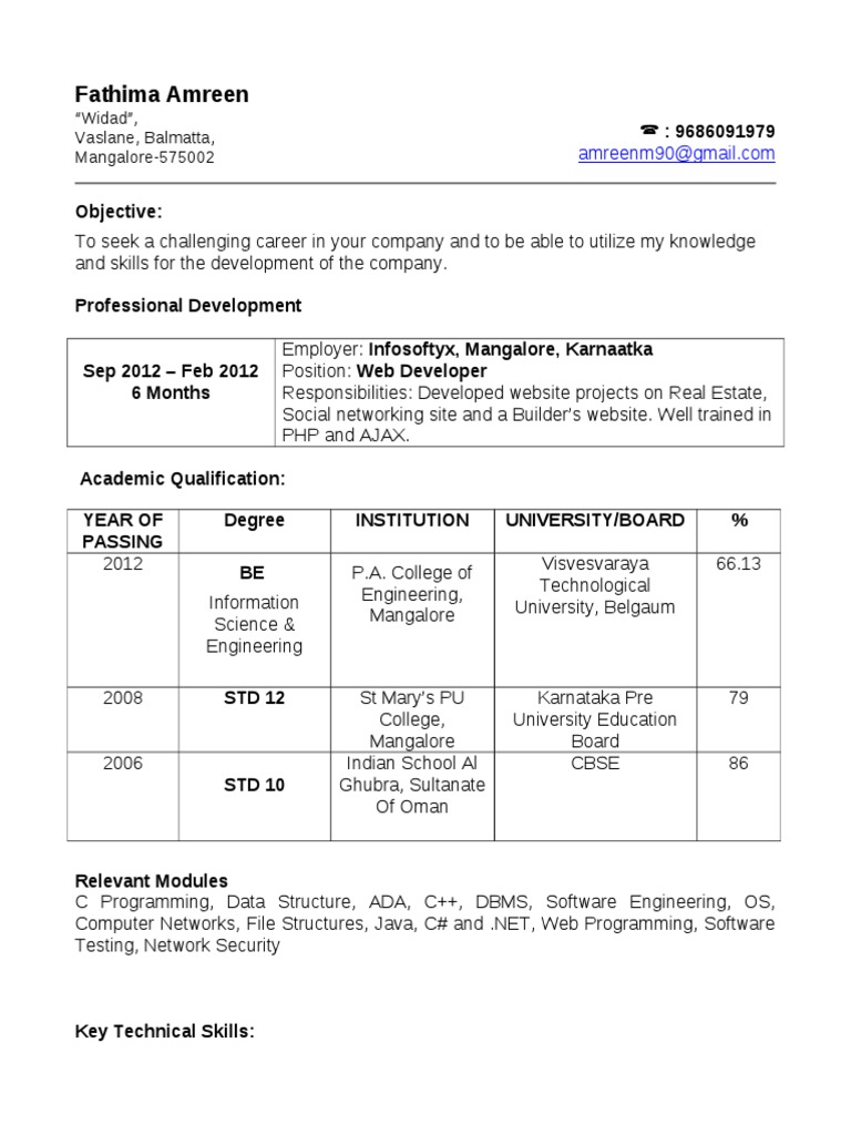 Amreen Munawar CV | PDF | Computing And Information Technology | Business