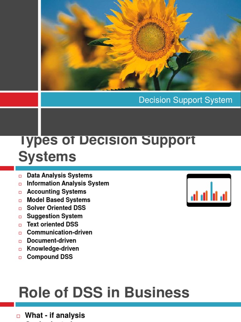 Decision Support System | PDF | Decision Support System | Ibm Notes