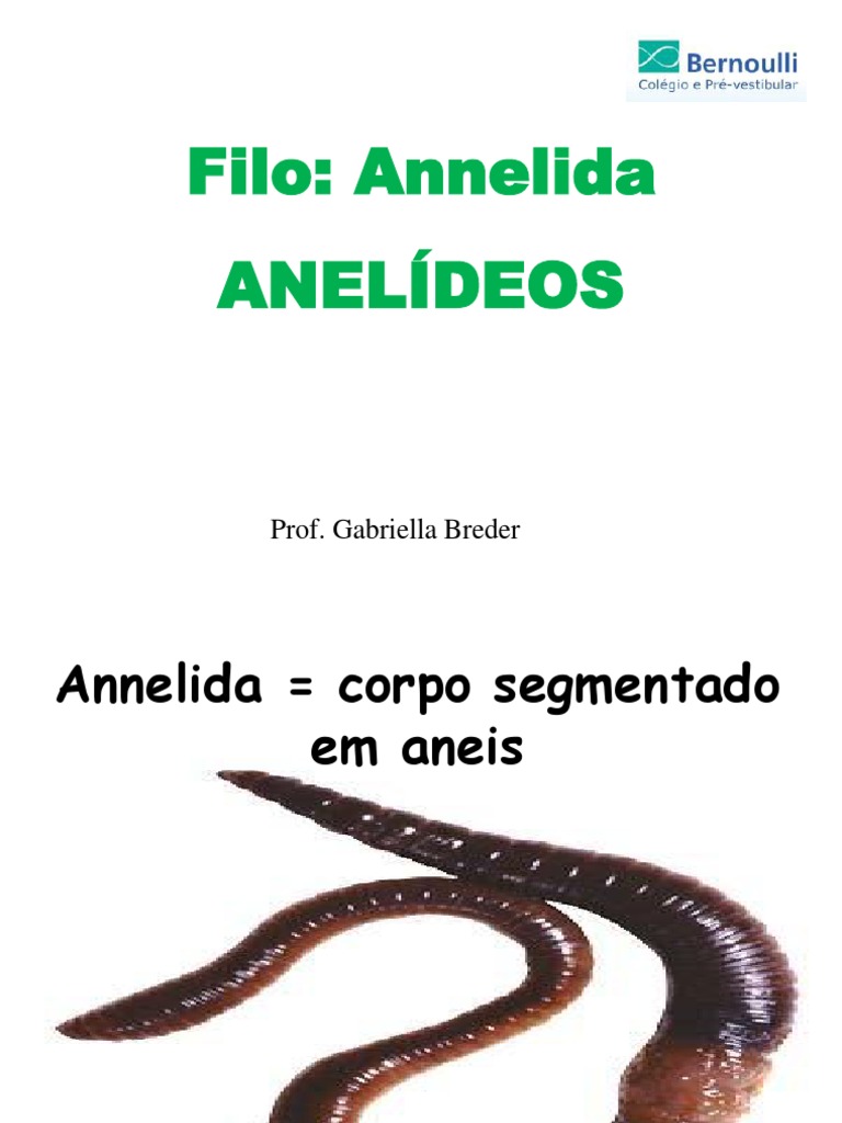 Anelídeos - anatomia e classificação | Anatomy | Zoology