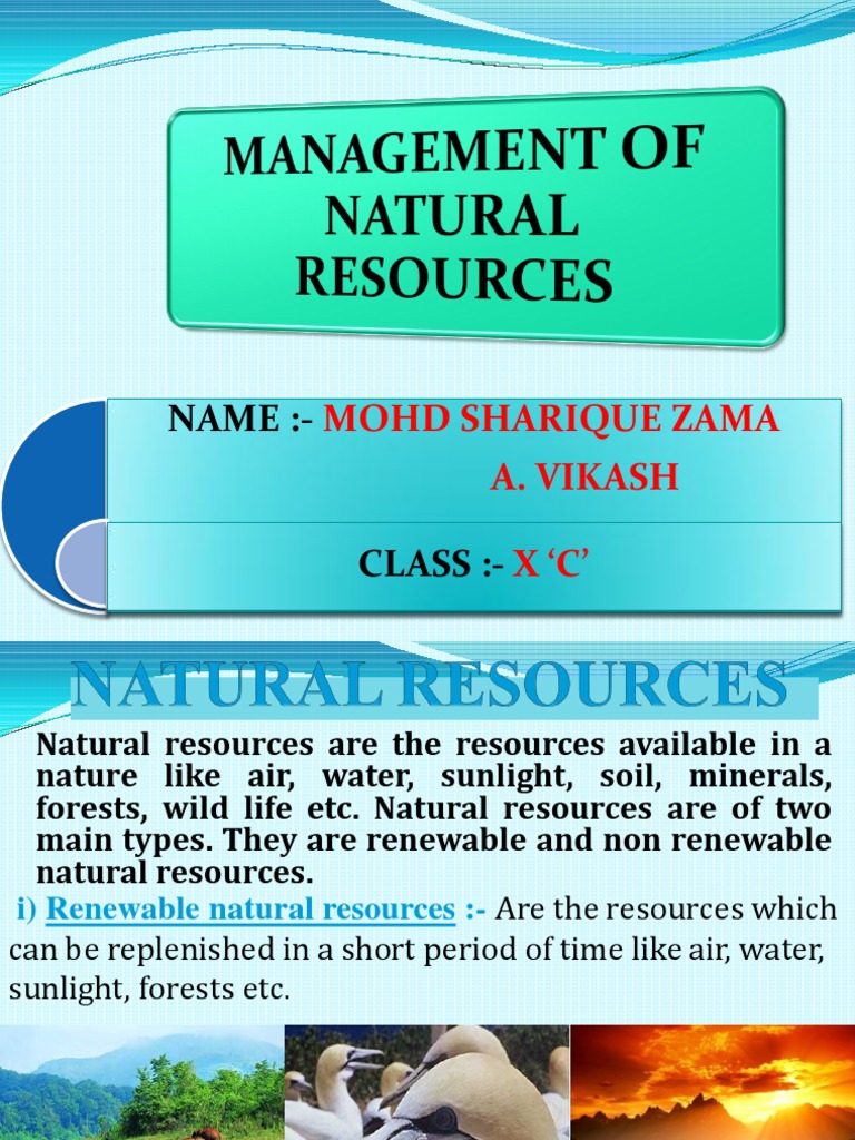 An In-Depth Look at Natural Resources Management Through the Lens of ...