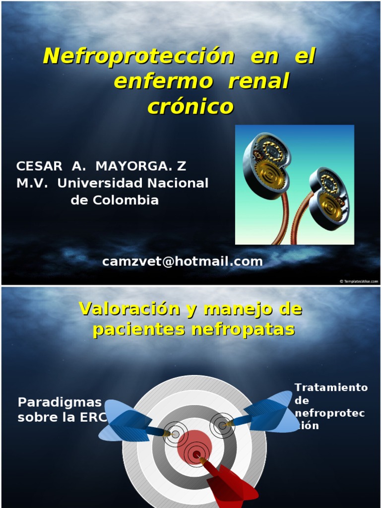 nefroproteccion | Nefrología | Riñón