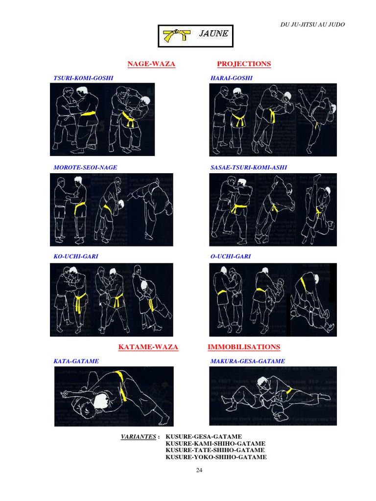 Judo Techniques and Variations | PDF