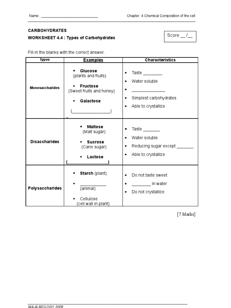 WORKSHEET 4.4 Types of Carbohydrates | PDF | Carbohydrates | Organic ...