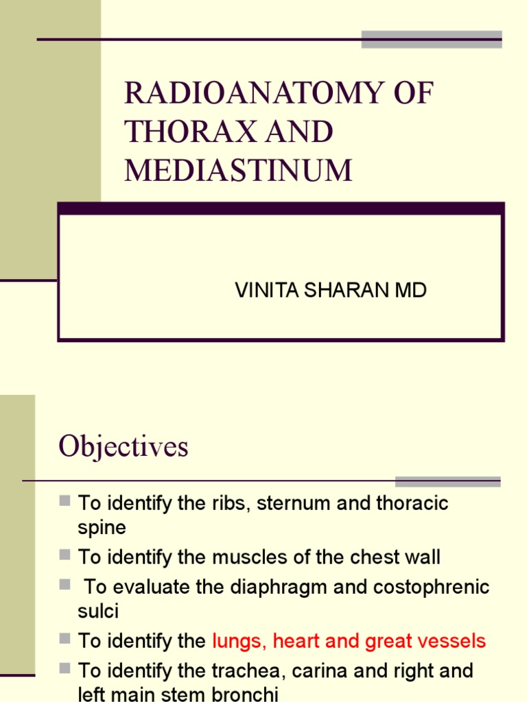 Radio Anatomy of The Thorax and Medias Tin Um 9-17 | PDF | Aorta | Thorax