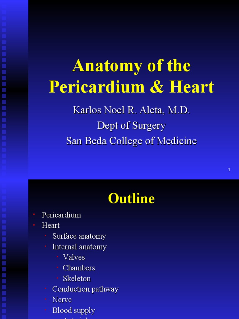 Anatomy: Heart and Pericardium | PDF | Heart Valve | Coronary Circulation