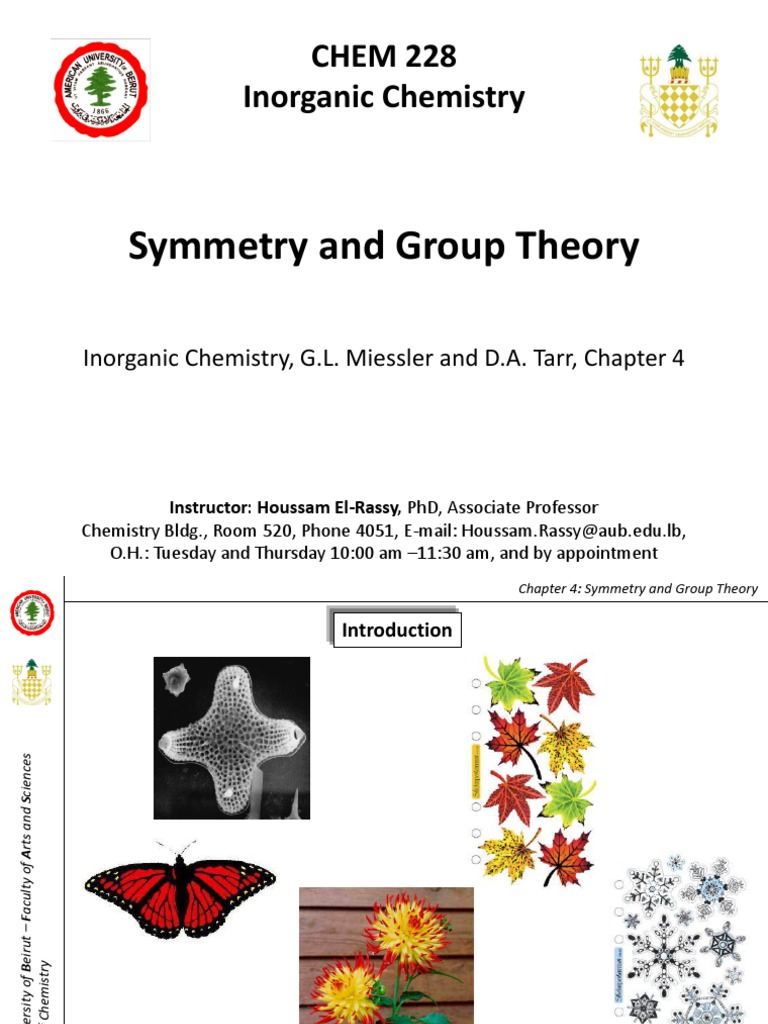 Chapter 4 - Symmetry and Group Theory | PDF | Chirality (Chemistry ...
