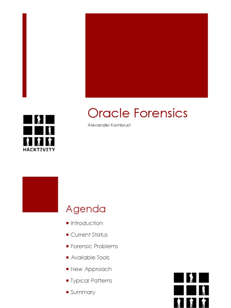 Audit Finding Oracle Forensics 101 | PDF