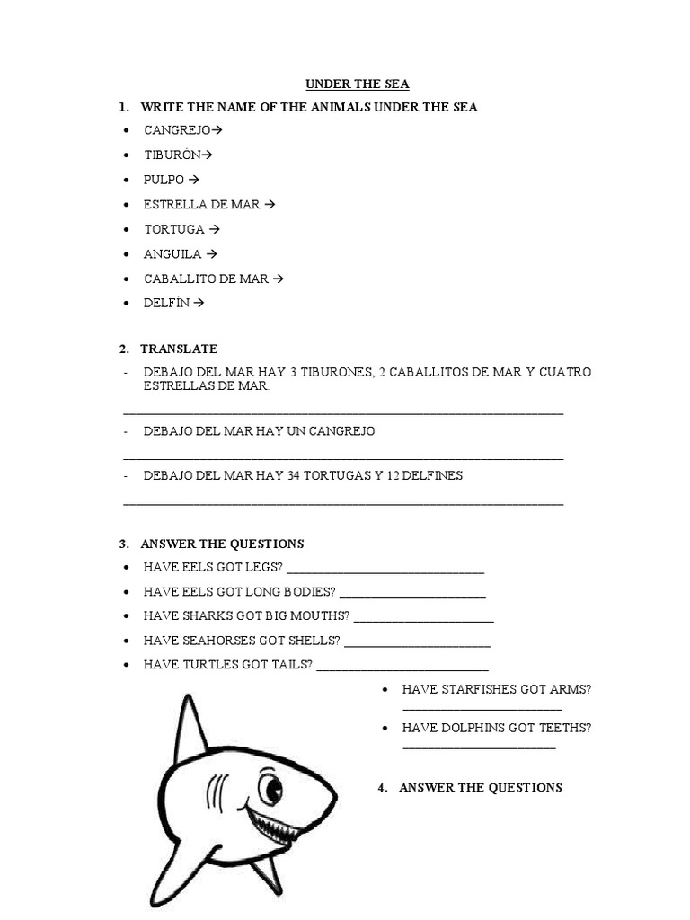 Sea Creatures and Their Features | PDF