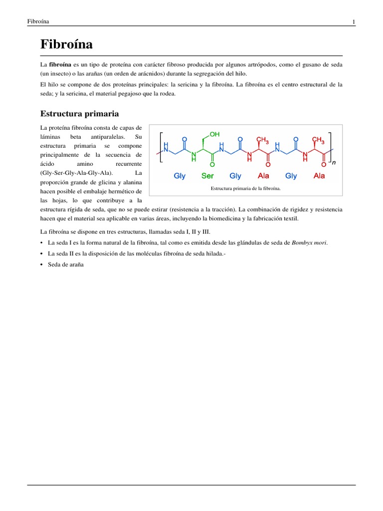 Estructura y características de la fibroína | PDF | Insectos y humanos ...