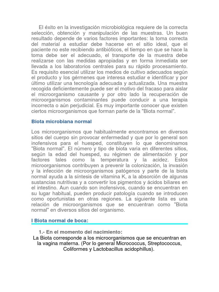Biota Normal | PDF | Microorganismo | Antibióticos