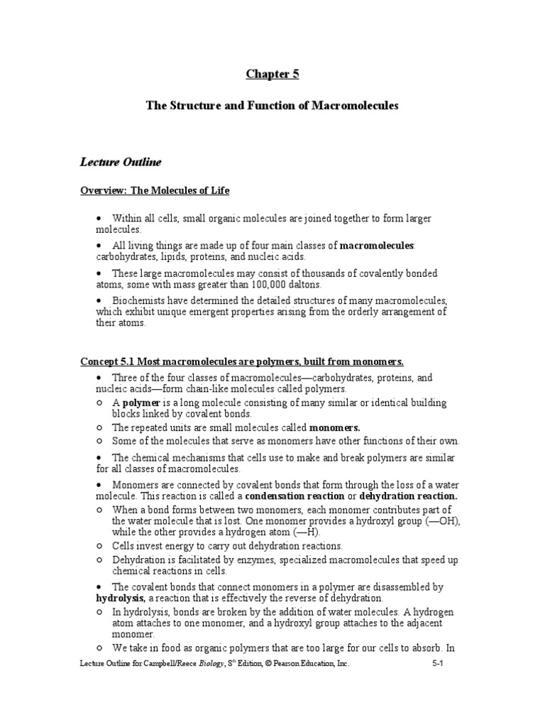 Lecture Outline: The Structure and Function of Macromolecules | PDF ...