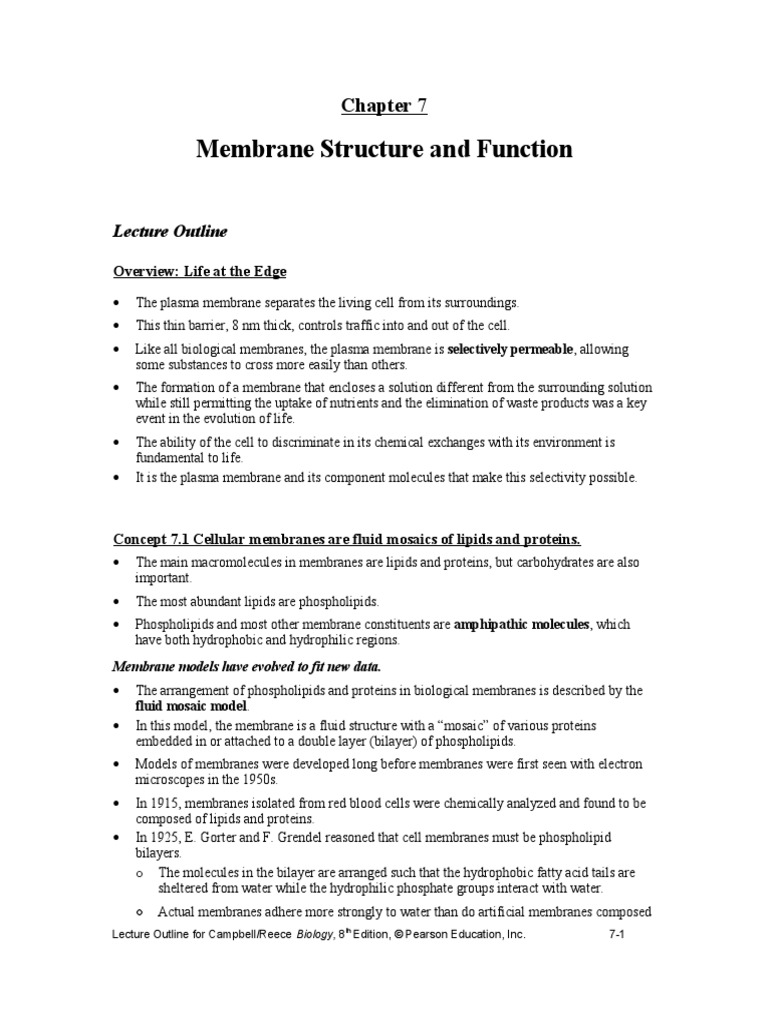 Membrane Structure and Function: Lecture Outline | PDF | Cell Membrane ...