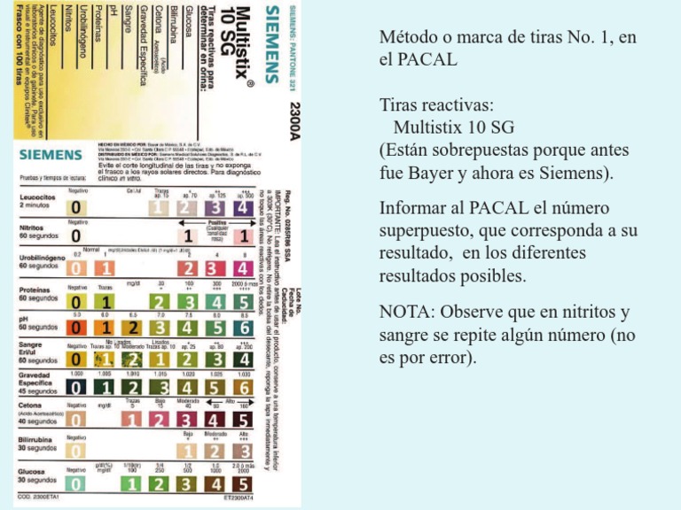 Tiras Multistix 10 SG | PDF