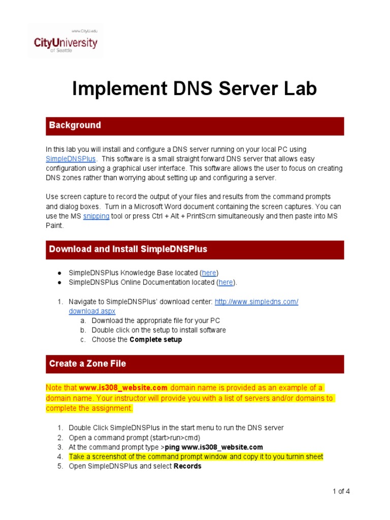 Install and Configure DNS Server Lab | PDF | Domain Name System ...