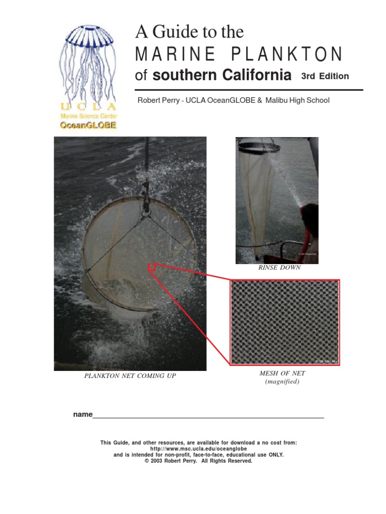 Guide Plankton1 | PDF | Crustacean | Protozoa