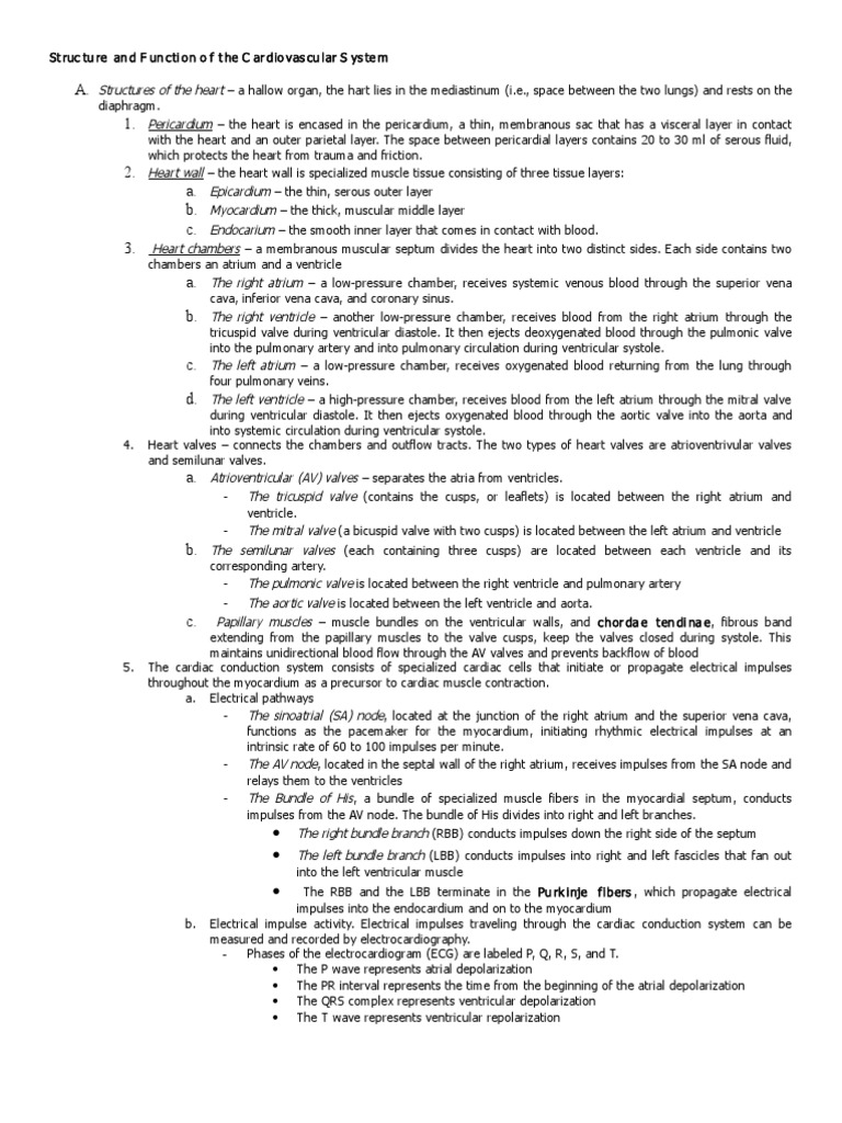 Cardiac Ana & Dxtics | PDF | Heart Valve | Atrium (Heart)
