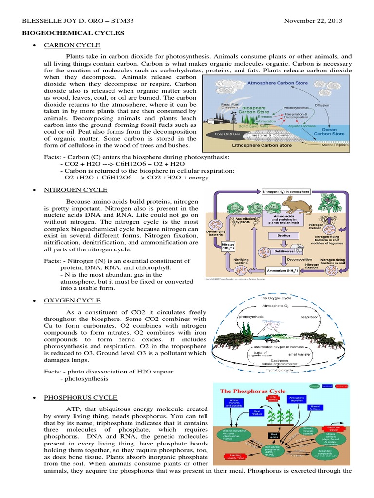 Biogeochemical Cycles | PDF | Phosphorus | Sulfur