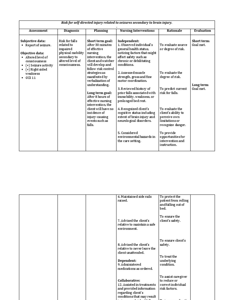 Risk For Injury | PDF