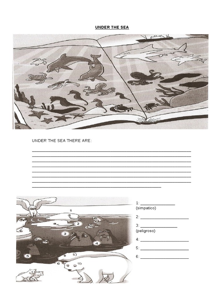 Explorers 4 Unit 6 Under The Sea. Activity 3 | PDF