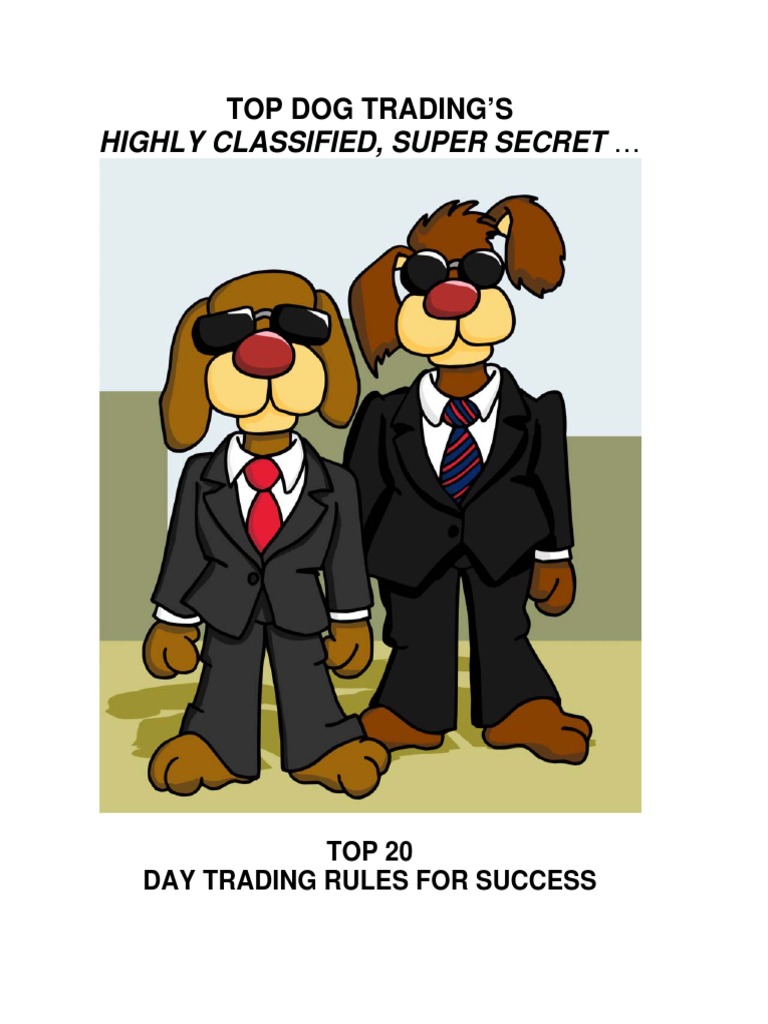 Top 20 Day Trading Rules For Success | PDF | Day Trading | Futures Contract