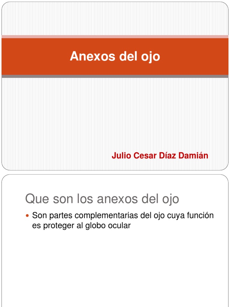 Anexos Del Ojo | PDF | Ojo | Rasgos faciales