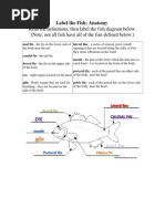 Anatomy of Fishes | PDF | Science & Mathematics