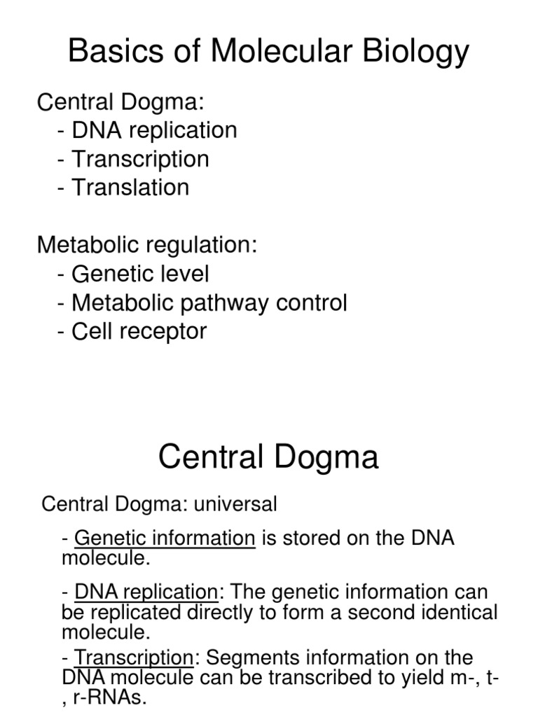 Y.molecular Biology-Central Dogma | PDF | Translation (Biology) | Ribosome