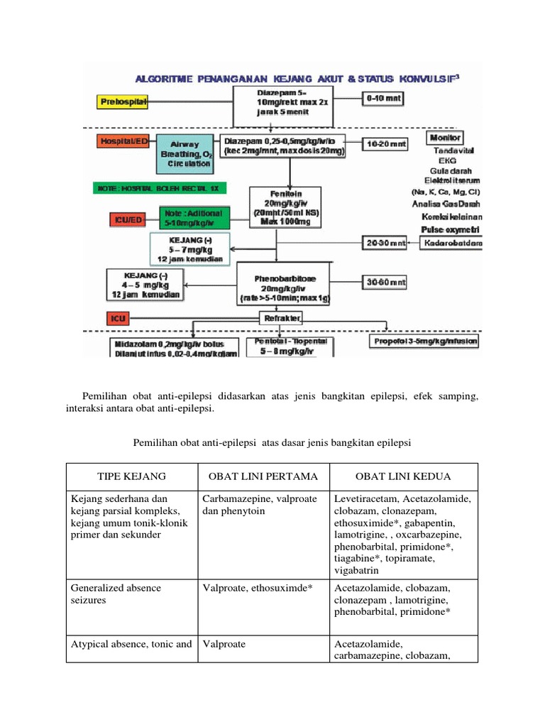 Tatalaksana Epilepsi | PDF