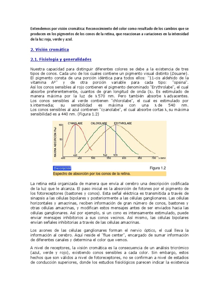 Vision Cromatica | PDF | Oído | Percepción visual