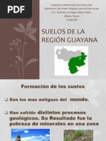 Origen de la Vida Precelular | PDF | Organismos | Eucariotas