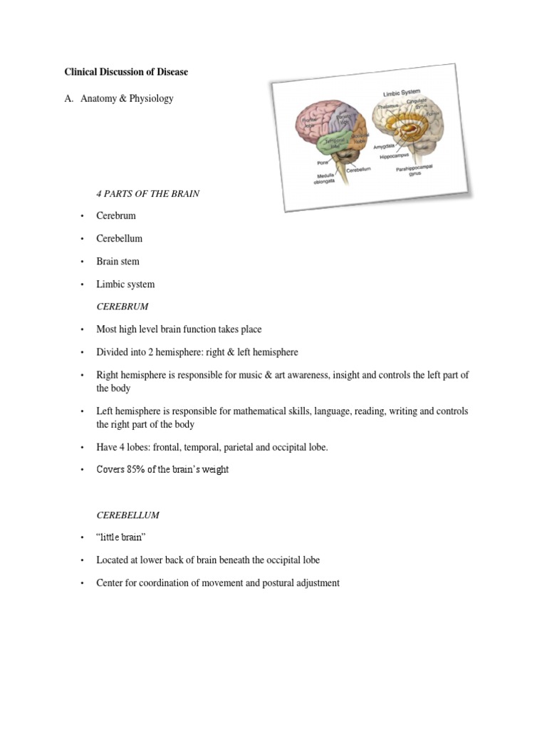 Clinical Discussion of Disease: 4 Parts of The Brain | Download Free ...