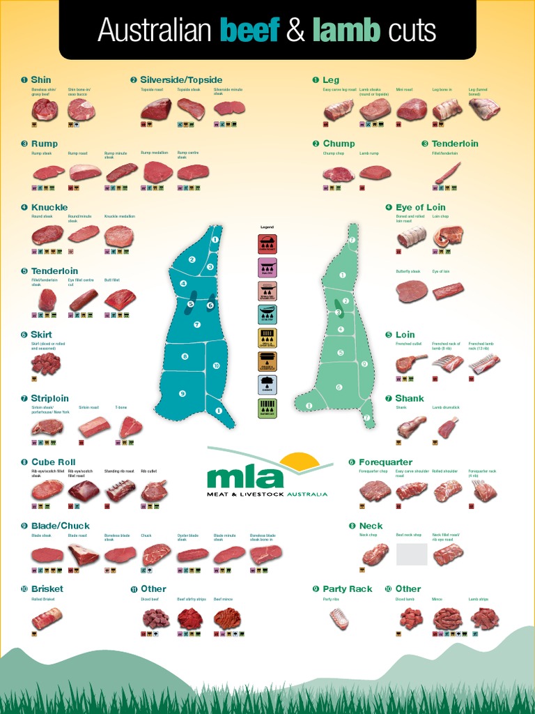 Australian Beef & Lamb Cuts | PDF | Cooking, Food & Wine | Home & Garden