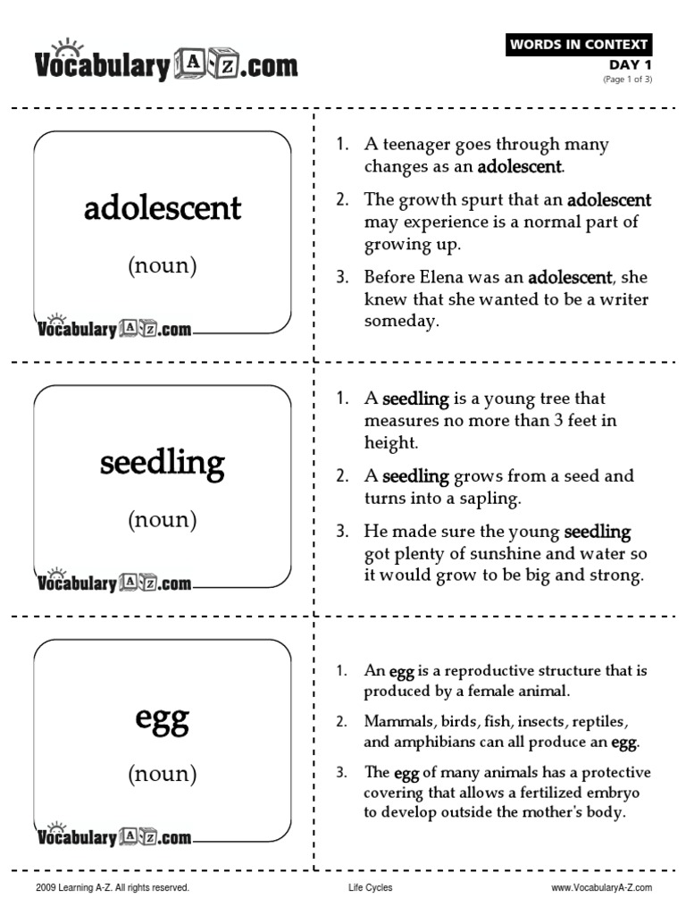 Life Cycles | PDF | Pupa | Egg