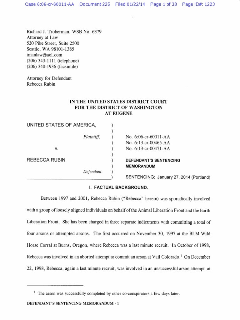Defense Sentencing Memorandum | PDF | United States Federal Sentencing ...