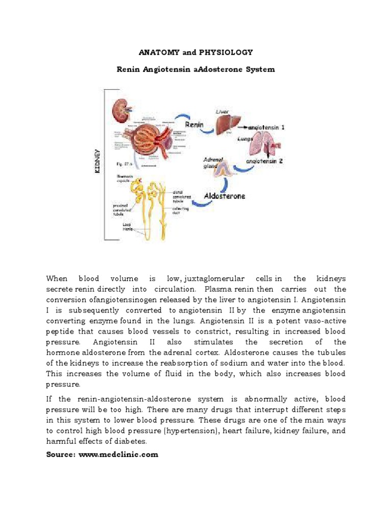 Anatomy and Physiology | PDF